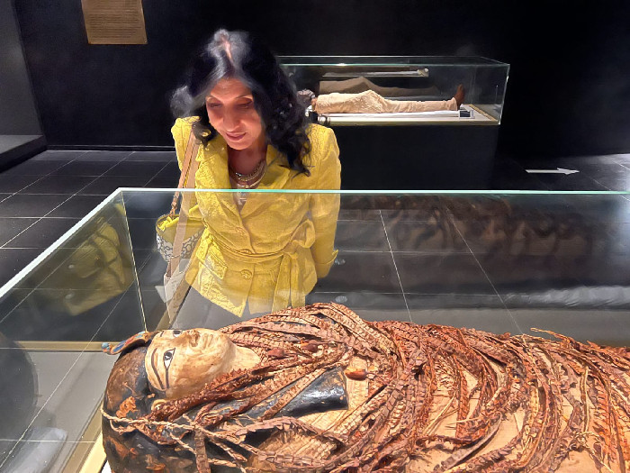 Media :: Sahar Saleem